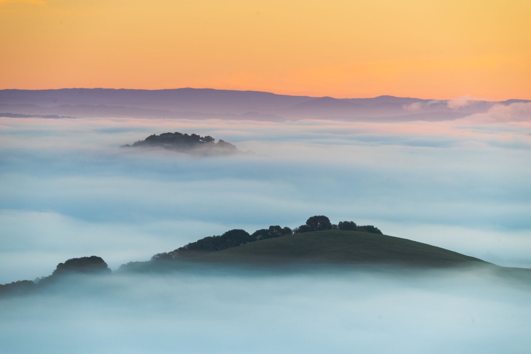 San Francisco General Hospital It's As Real As It Gets Non Profit ...